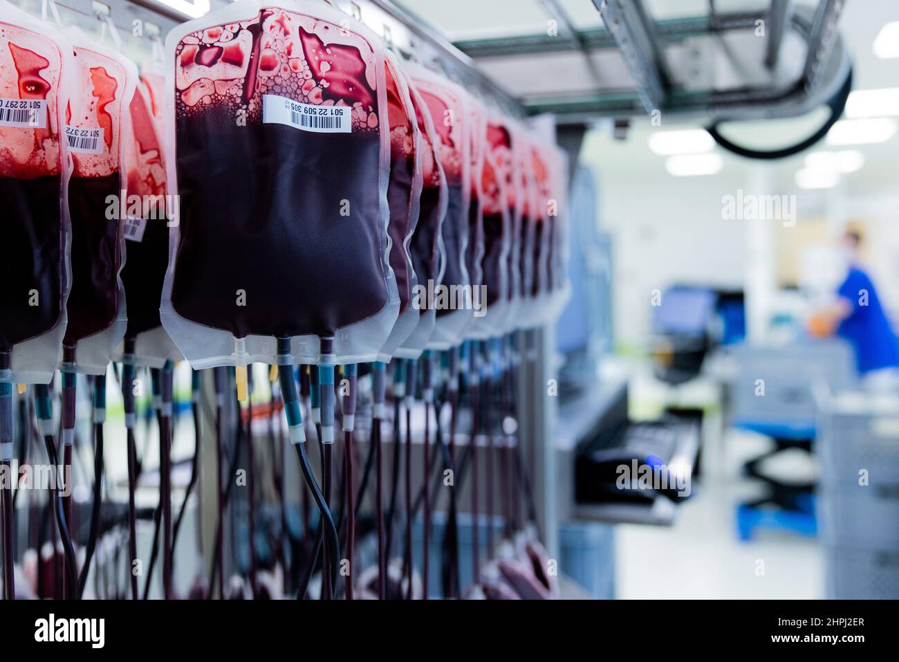 PRODUCTION - 15 February 2022, North Rhine-Westphalia, Hagen: Blood ...