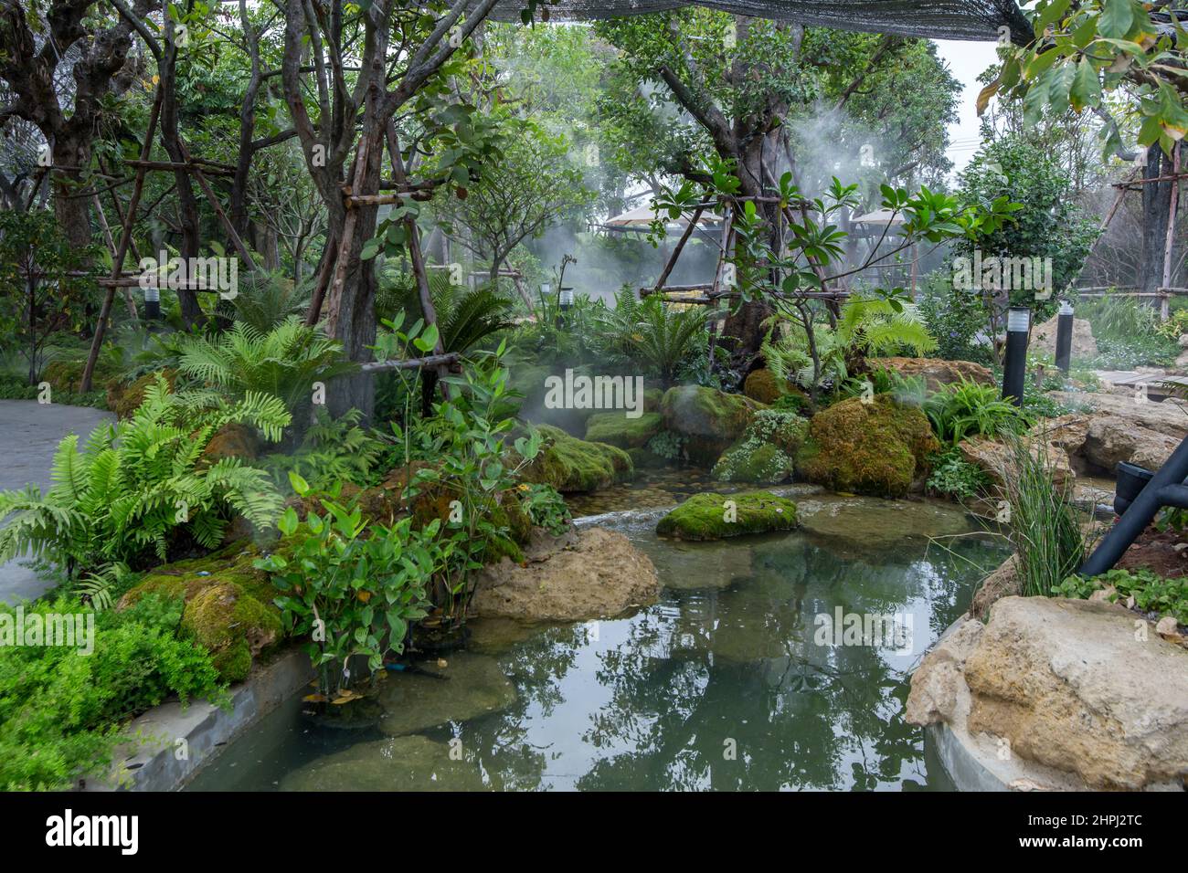 Landscaping design with many tree in the garden Stock Photo - Alamy