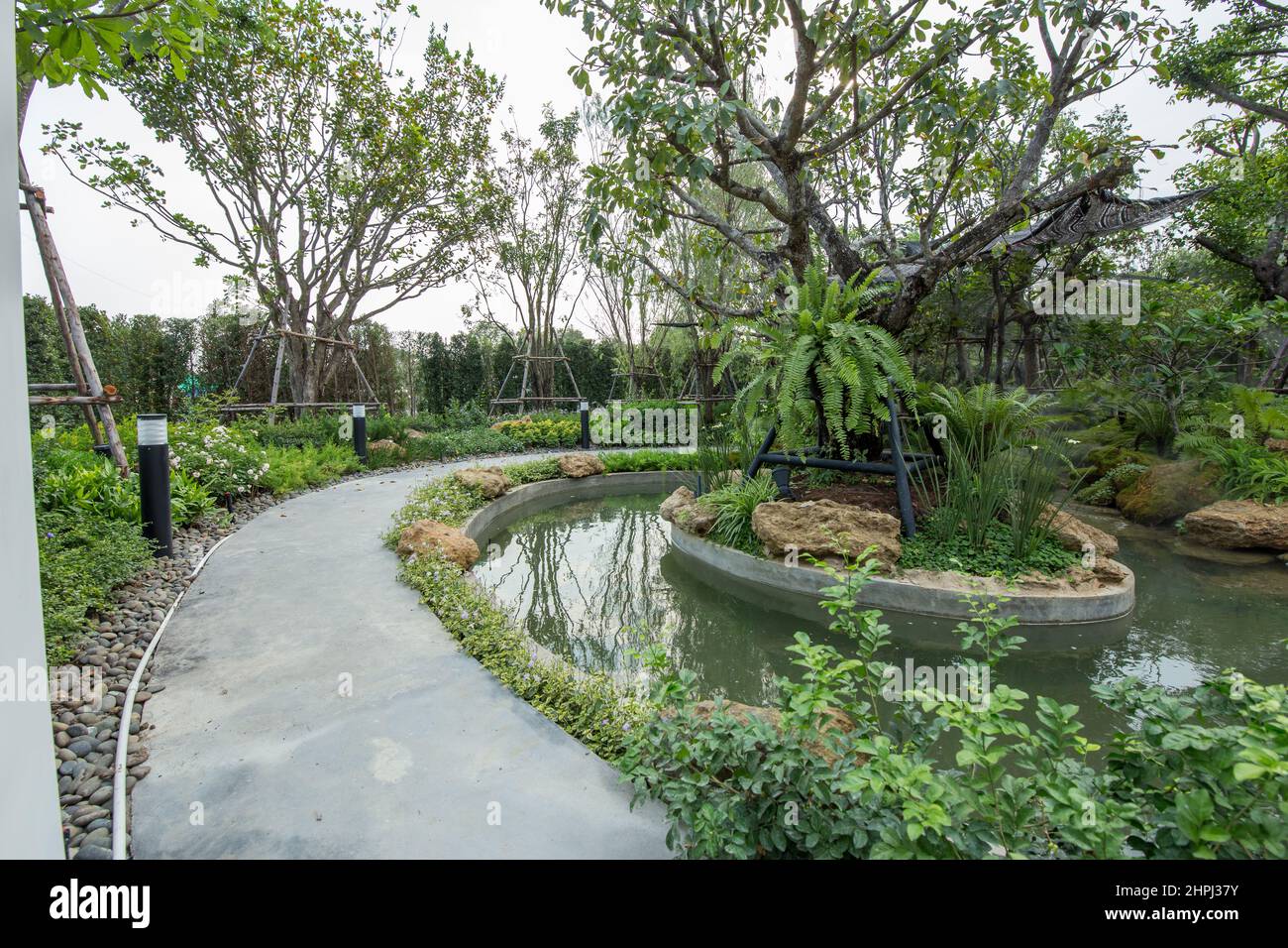 Landscaping design with many tree in the garden Stock Photo - Alamy