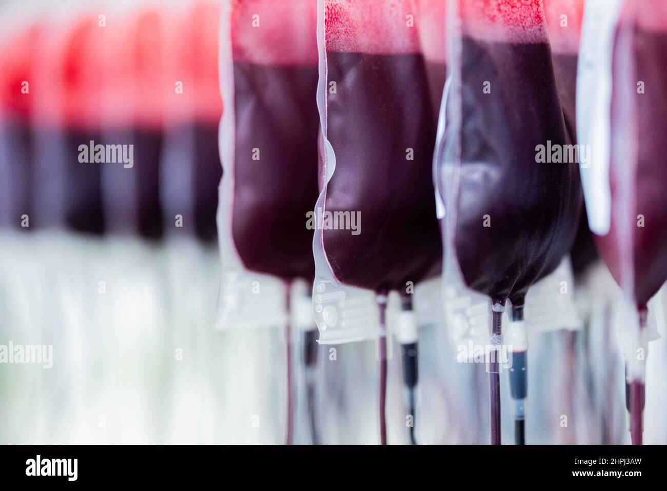 PRODUCTION - 15 February 2022, North Rhine-Westphalia, Hagen: Blood ...