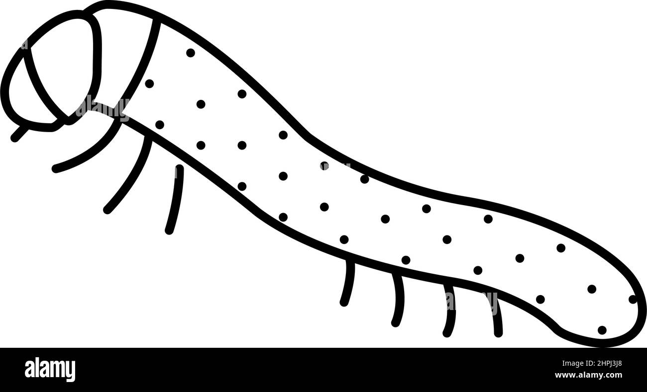 pupa cocoon silkworm line icon vector illustration Stock Vector Image ...