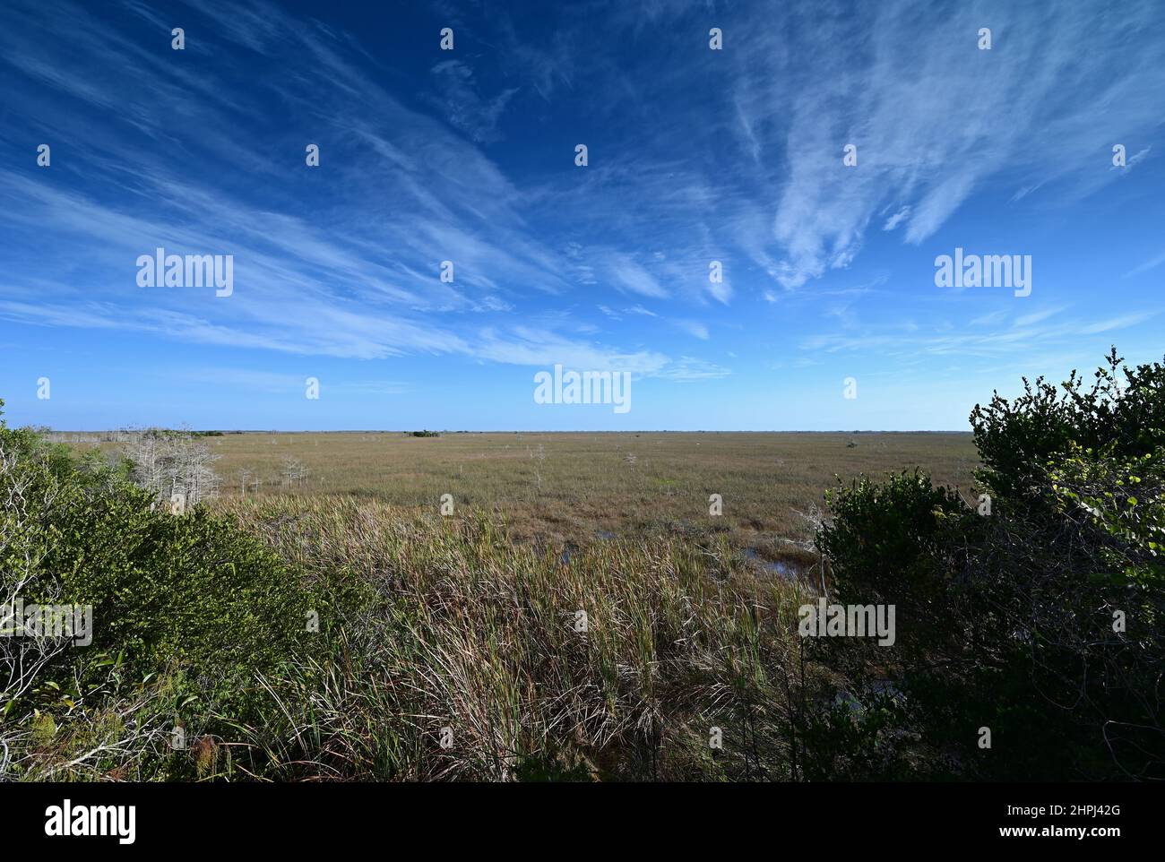 View of expansive sawgrass prairie from Pa Hay Okee overlook in ...