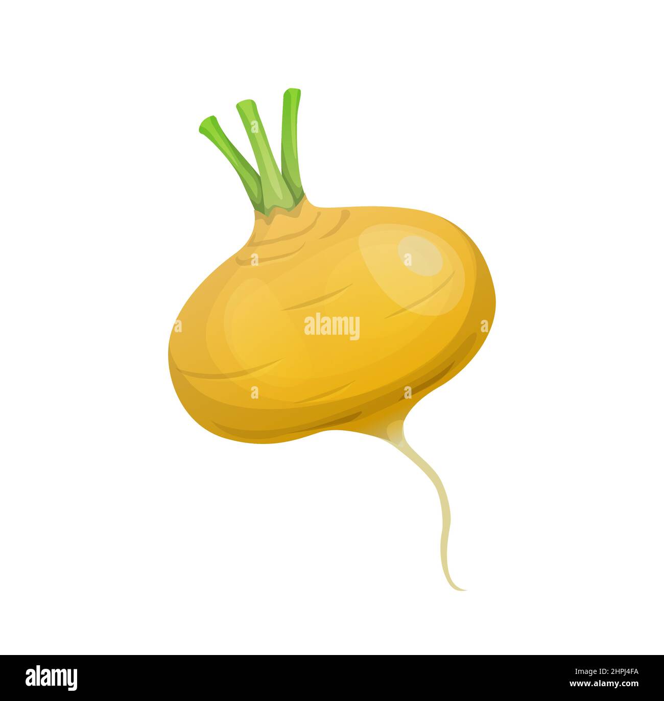 Isolated raw turnip radish, cartoon vegetable food. Vector farm organic ...