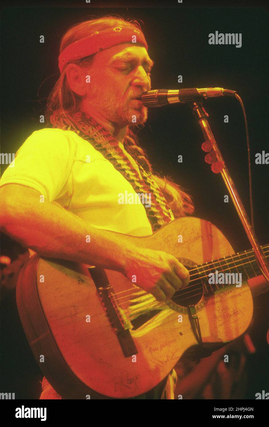 WILLIE NELSON LIVE in concert in 1980- Credit: Jeffrey Mayer / Rock Negatives / MediaPunch Stock ...