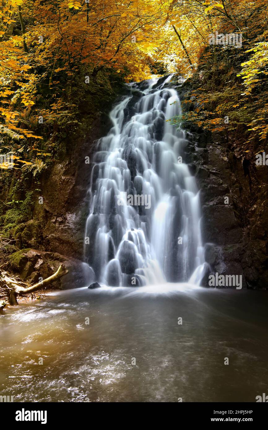 View of Glenoe beautiful waterfall nestling in the glens of Antrim in ...