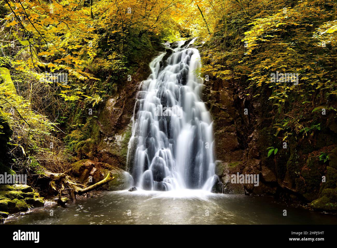 View of Glenoe beautiful waterfall nestling in the glens of Antrim in ...