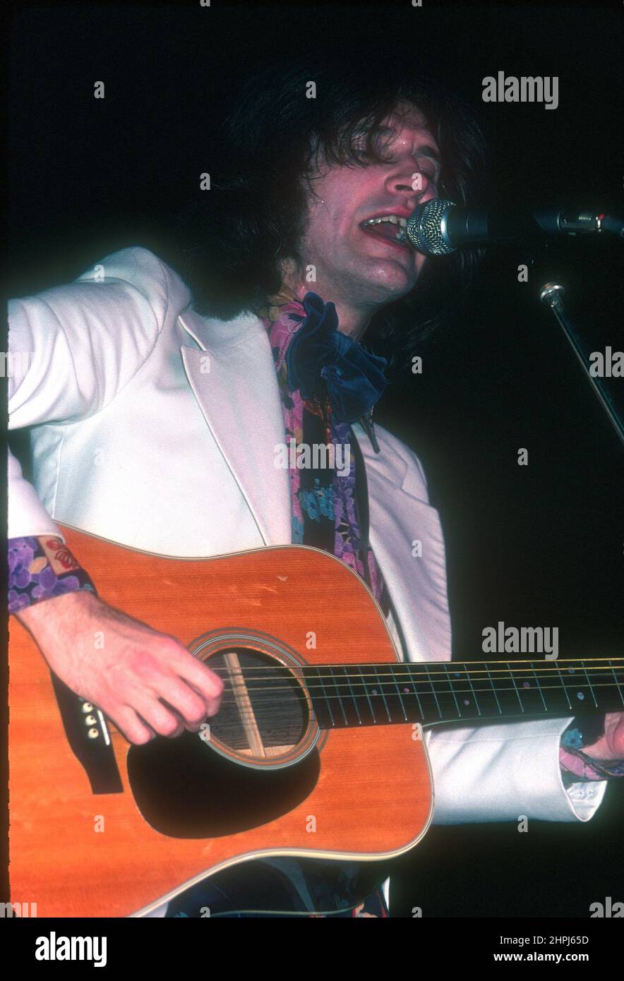 Jeffrey Davies Guitarist