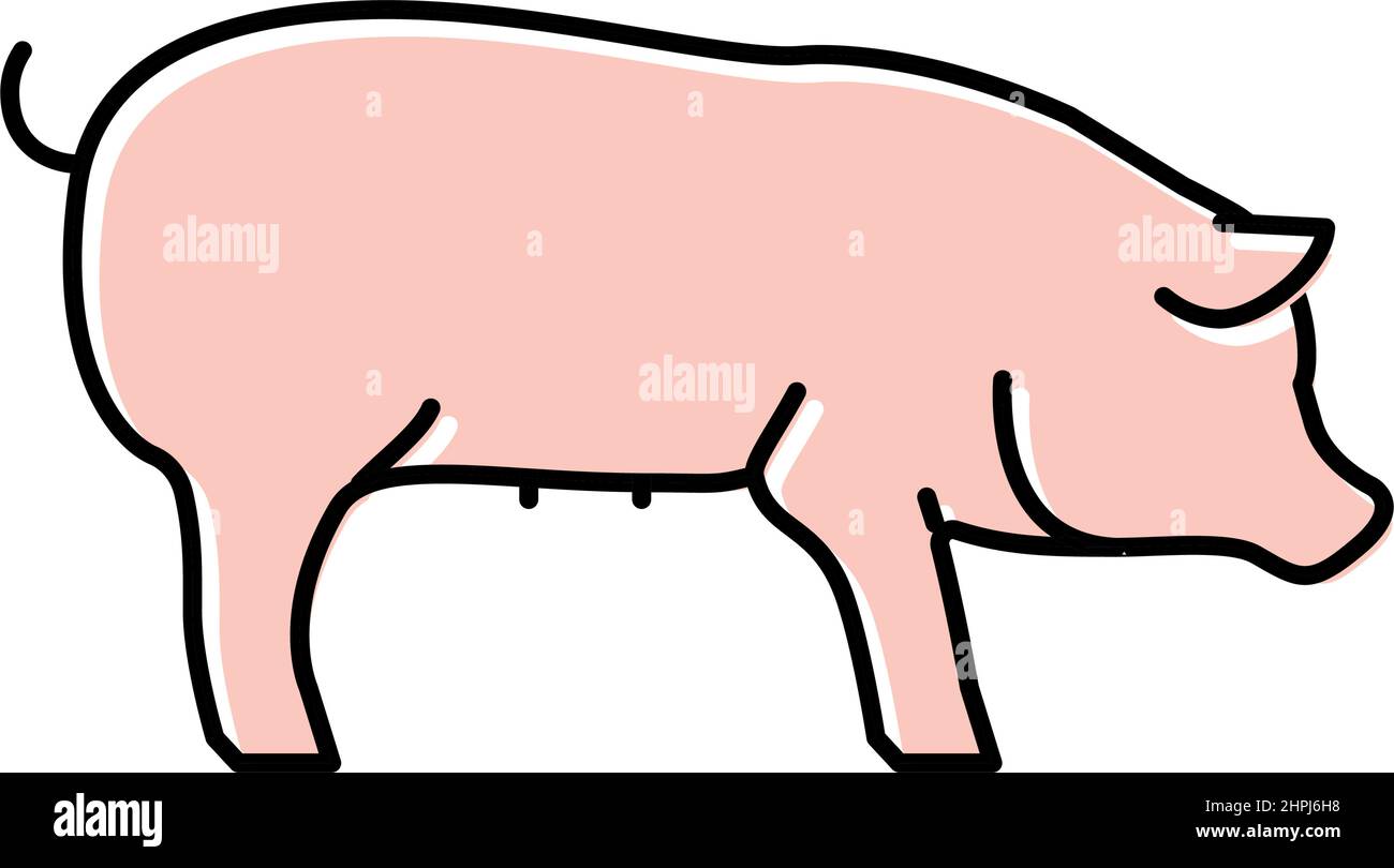 pig domestic animal color icon vector illustration Stock Vector Image ...
