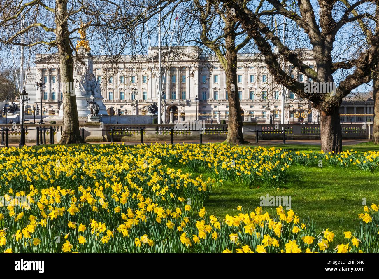 England, London, Green Park in Bloom and Buckingham Palace Stock Photo ...
