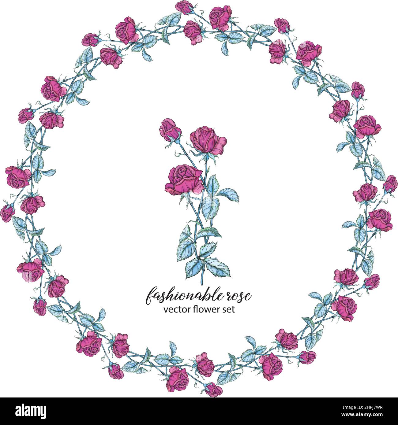 vector set of bright rose colors. Rose is pink Stock Vector Image & Art ...