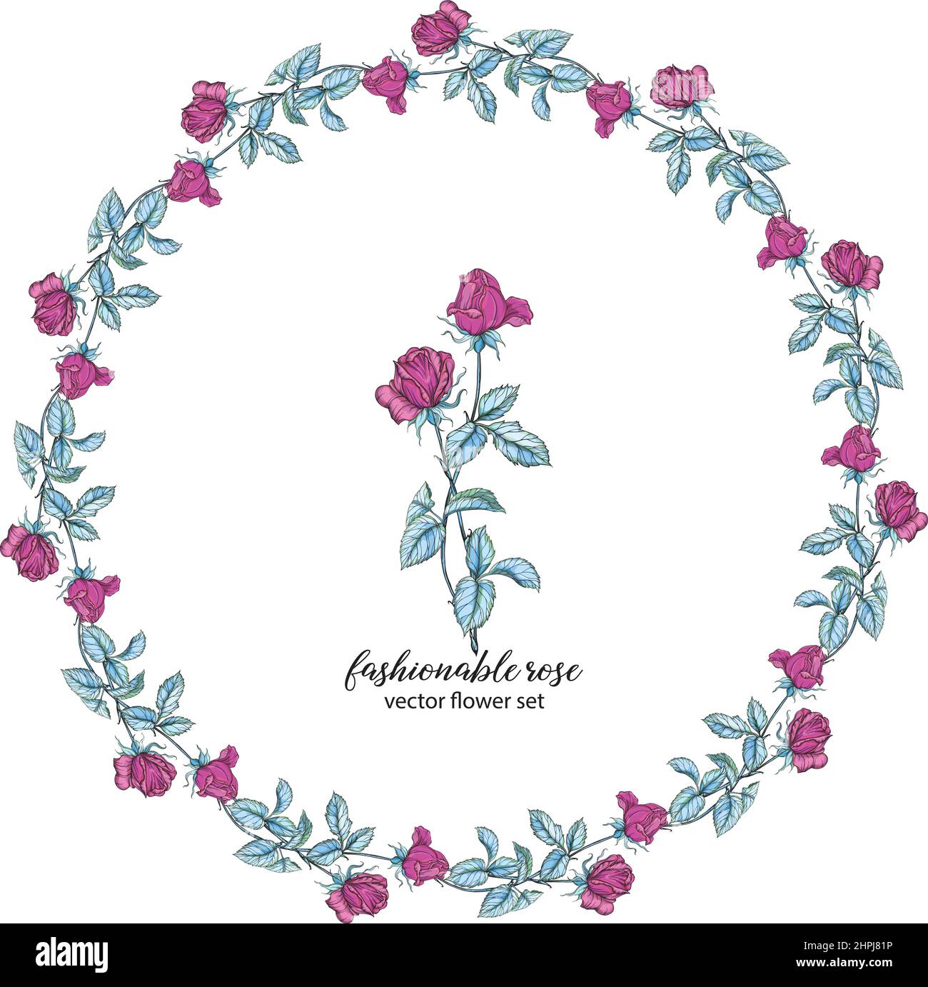 vector set of bright rose colors. Rose is pink Stock Vector Image & Art ...