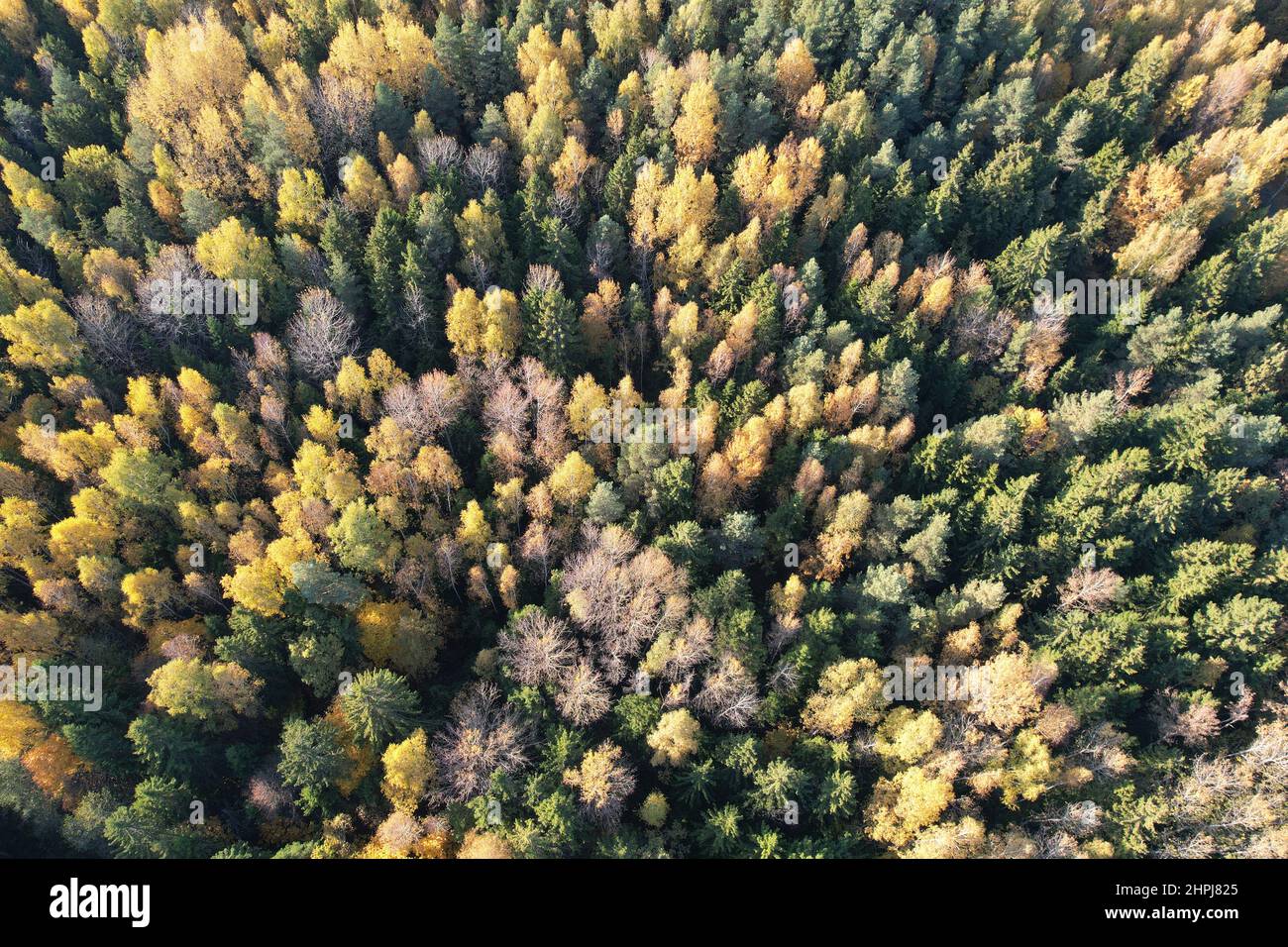 Yellow aerial pattern hi-res stock photography and images - Alamy