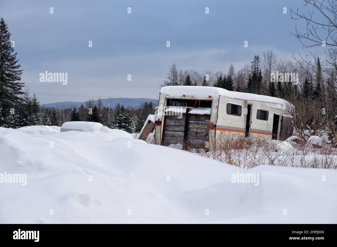 Abandoned camper van in a forest in winter Stock Photo - Alamy