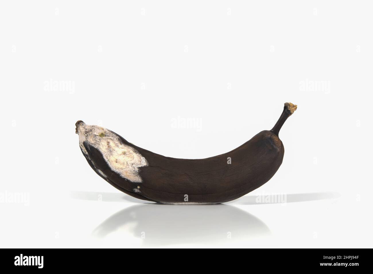 Spoiled banana on a white background with hard shadows and reflection ...
