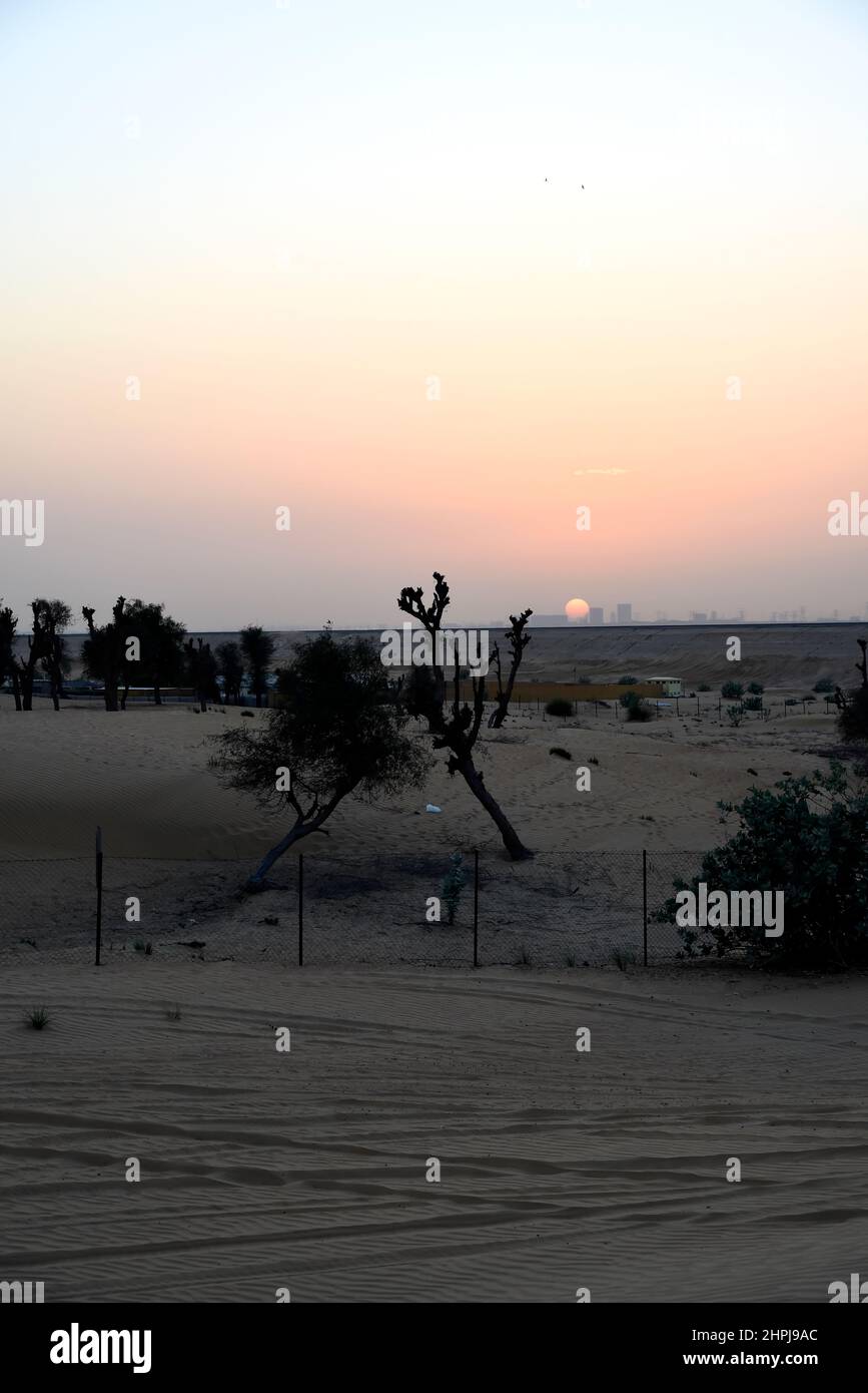 Sunset around Al Awir desert with trees and sand dunes, Dubai United ...