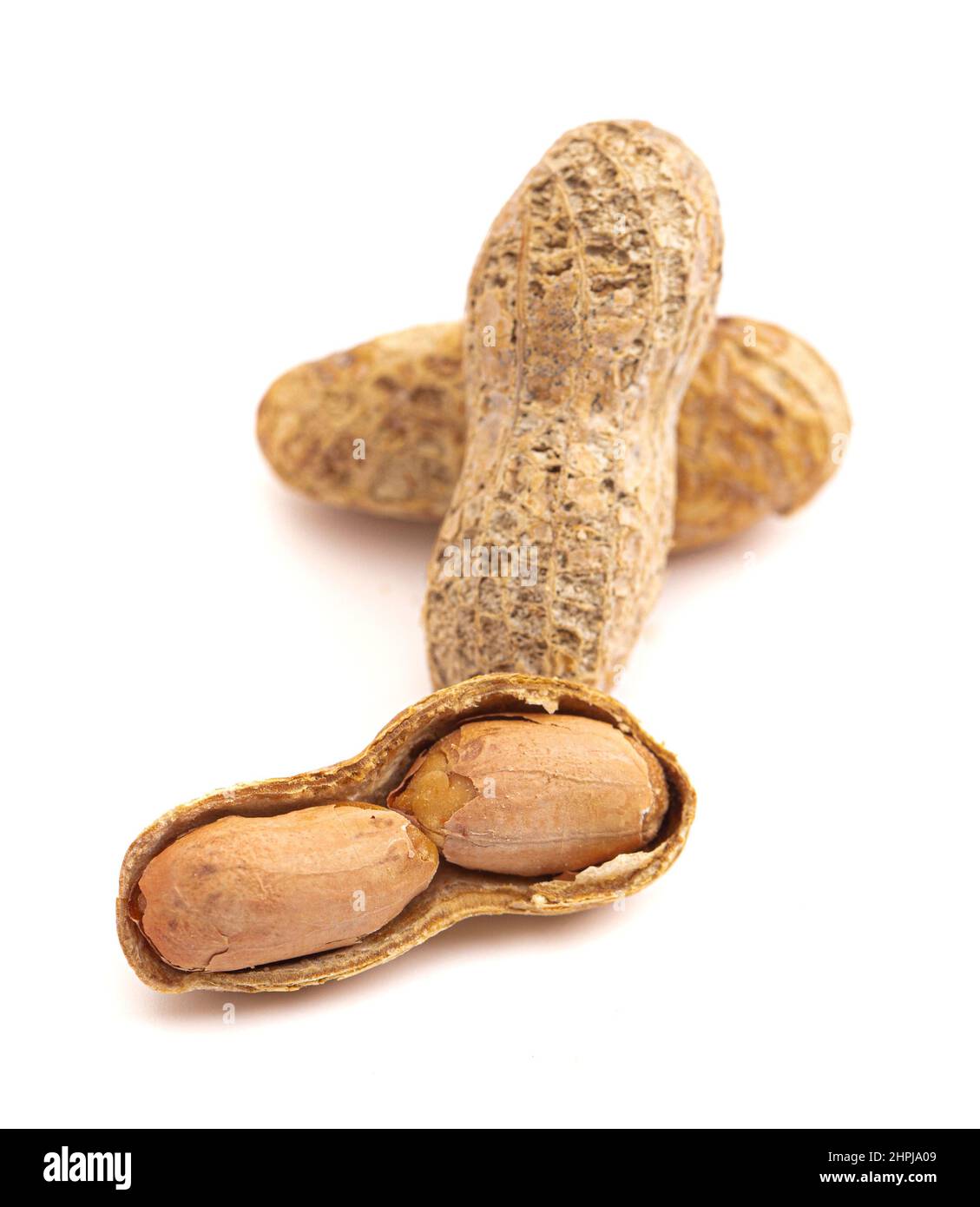 Organic In Shell Peanut Isolated on a White Background Stock Photo - Alamy