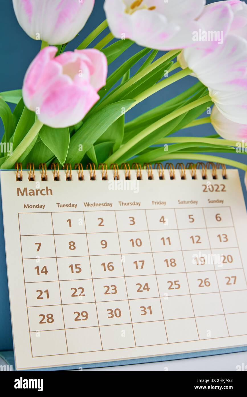 March Spring Wallpaper