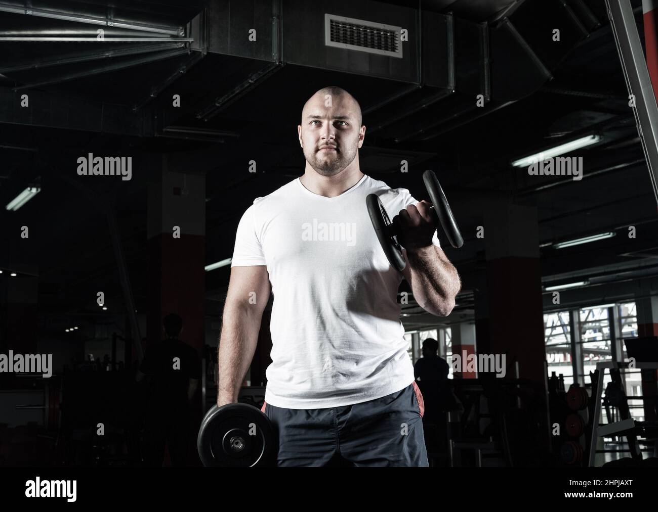 Male bodybuilder engaged with dumbbells in the gym Stock Photo - Alamy