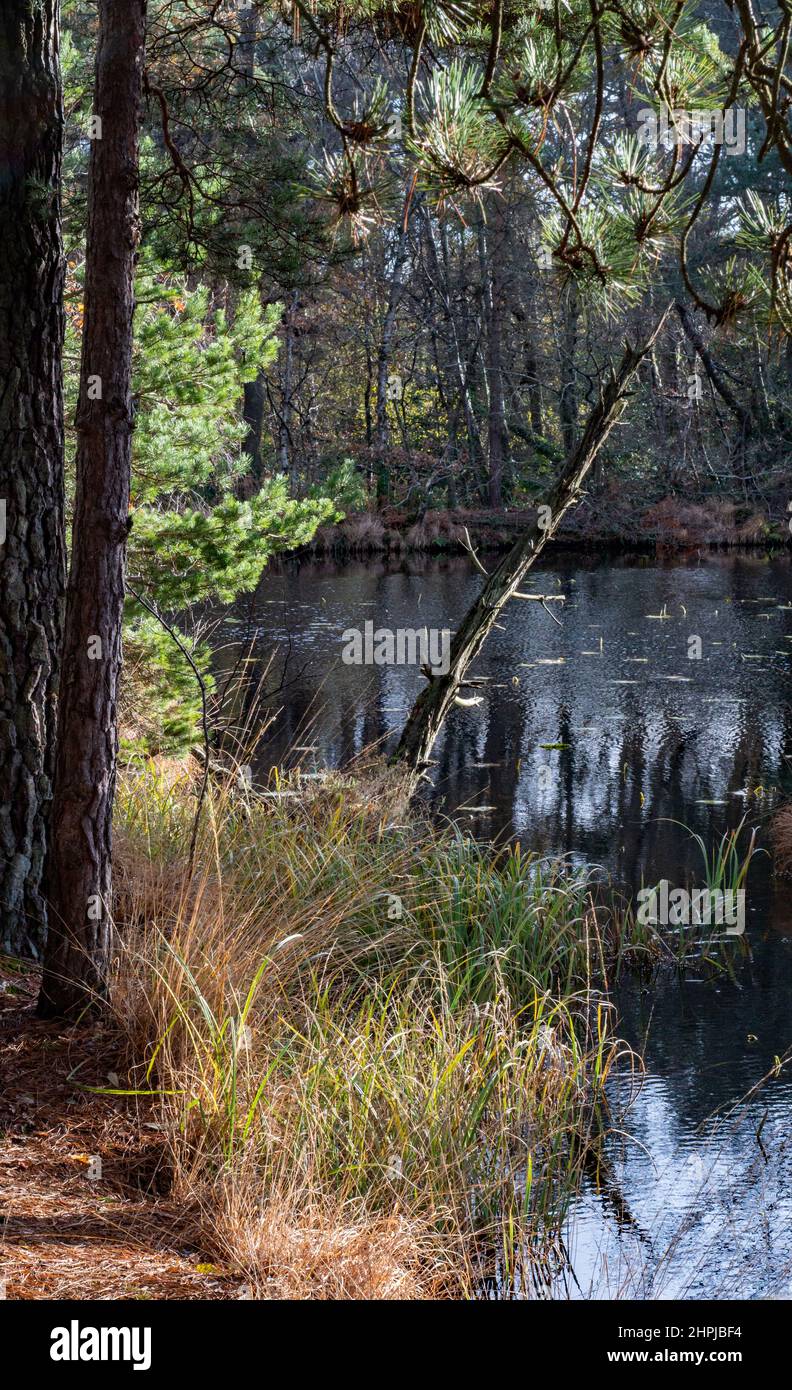 Reflections of natural scenery hi-res stock photography and images - Alamy