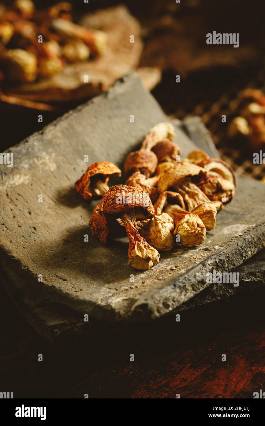 Choice mushroom hi-res stock photography and images - Alamy