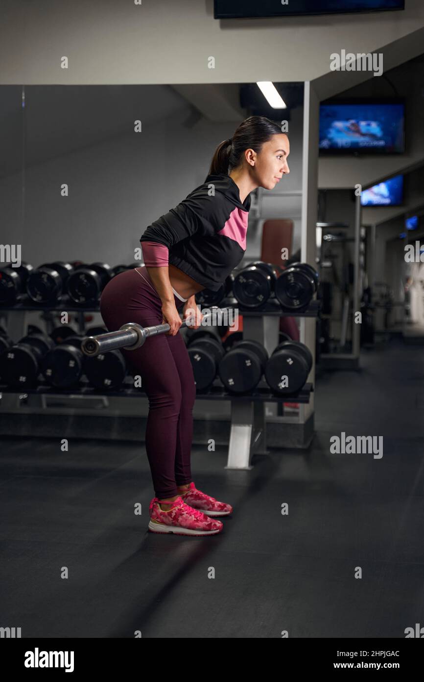Concentrated athlete female person doing lifting exercise Stock Photo ...