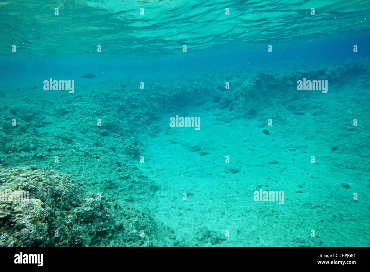 Beautiful underwater seascape, natural background Stock Photo - Alamy