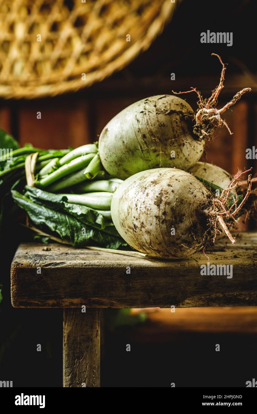 Circle of radish hi-res stock photography and images - Alamy