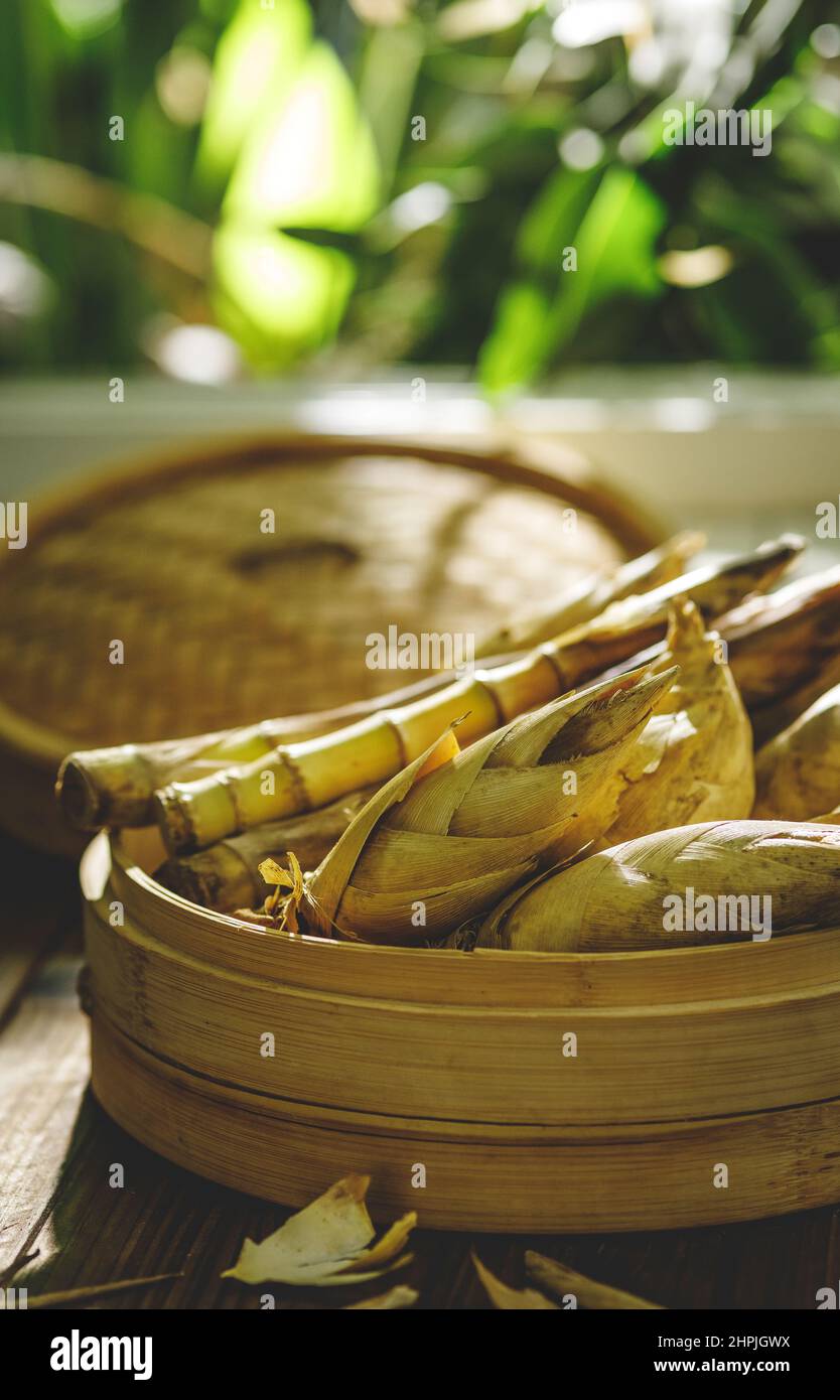 The bamboo shoots Stock Photo - Alamy