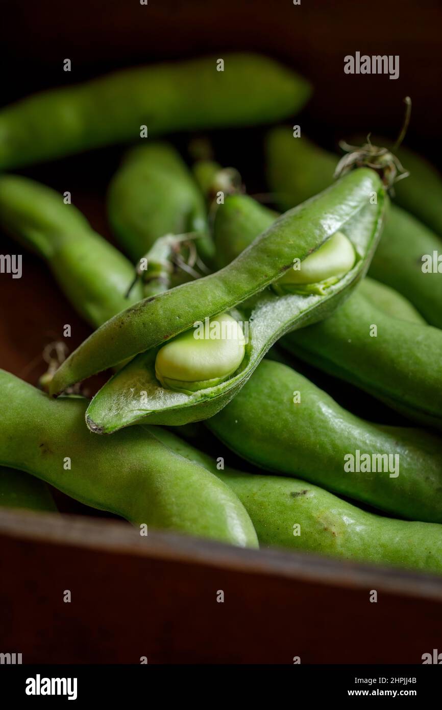 Chinese bush pea hi-res stock photography and images - Alamy