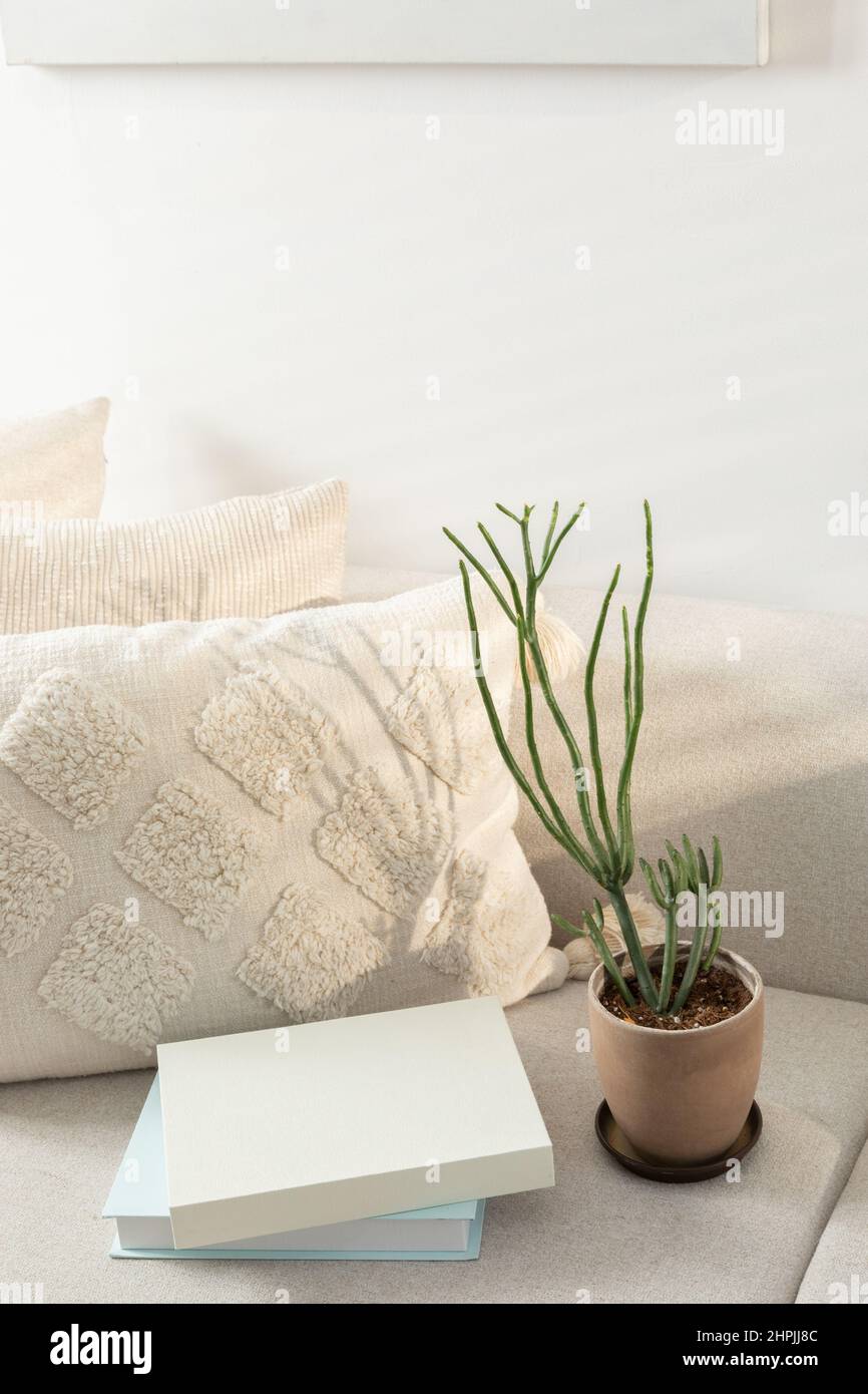 relax cozy objects and background with sofa, flower pot, a book Stock ...