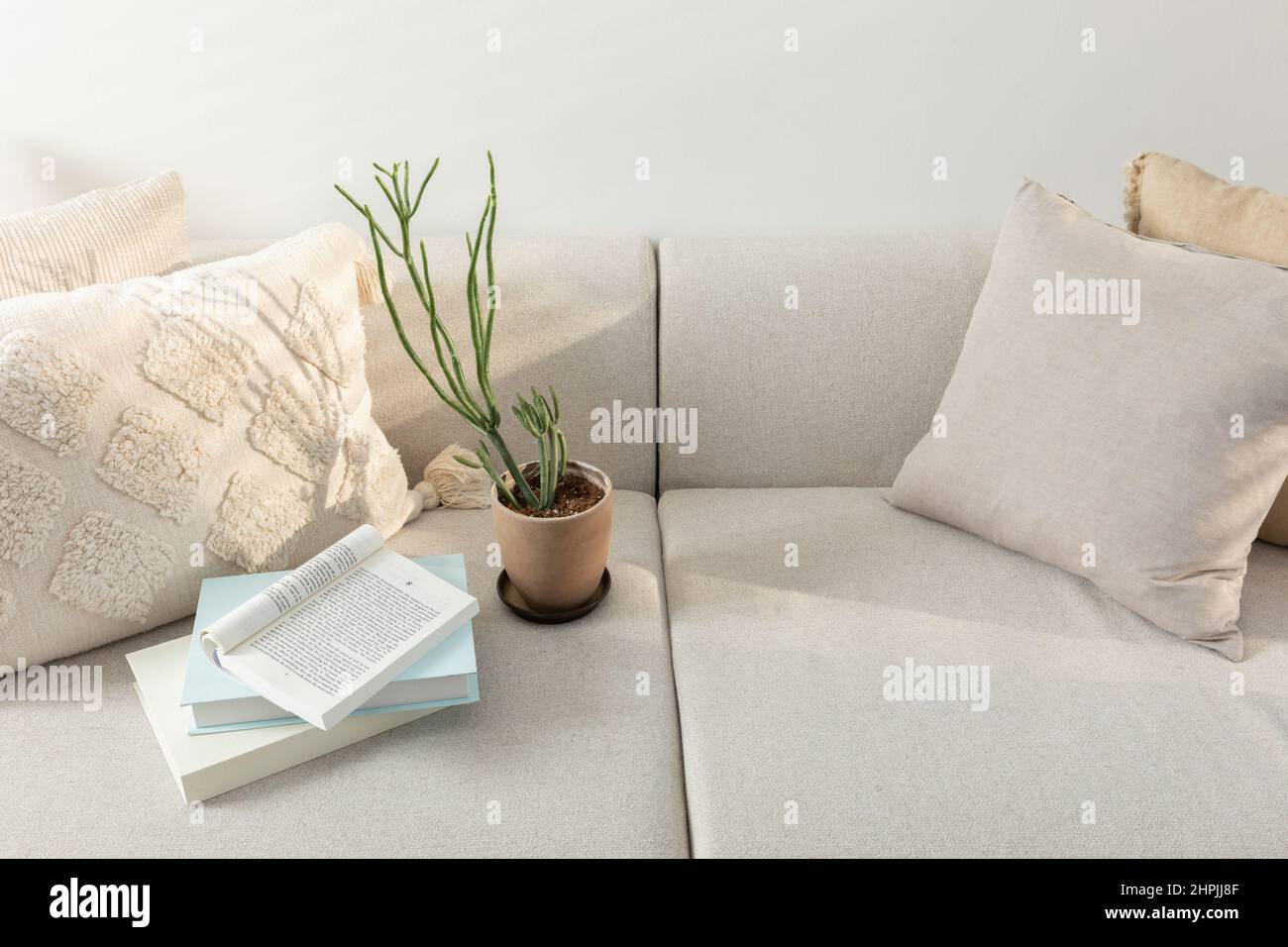 relax cozy objects and background with sofa, flower pot, a book Stock ...