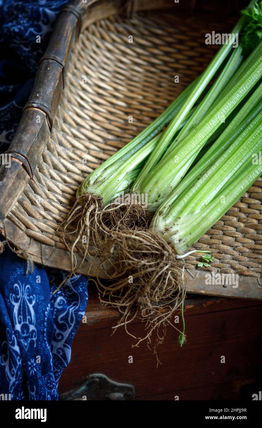 Stack of celery hi-res stock photography and images - Alamy