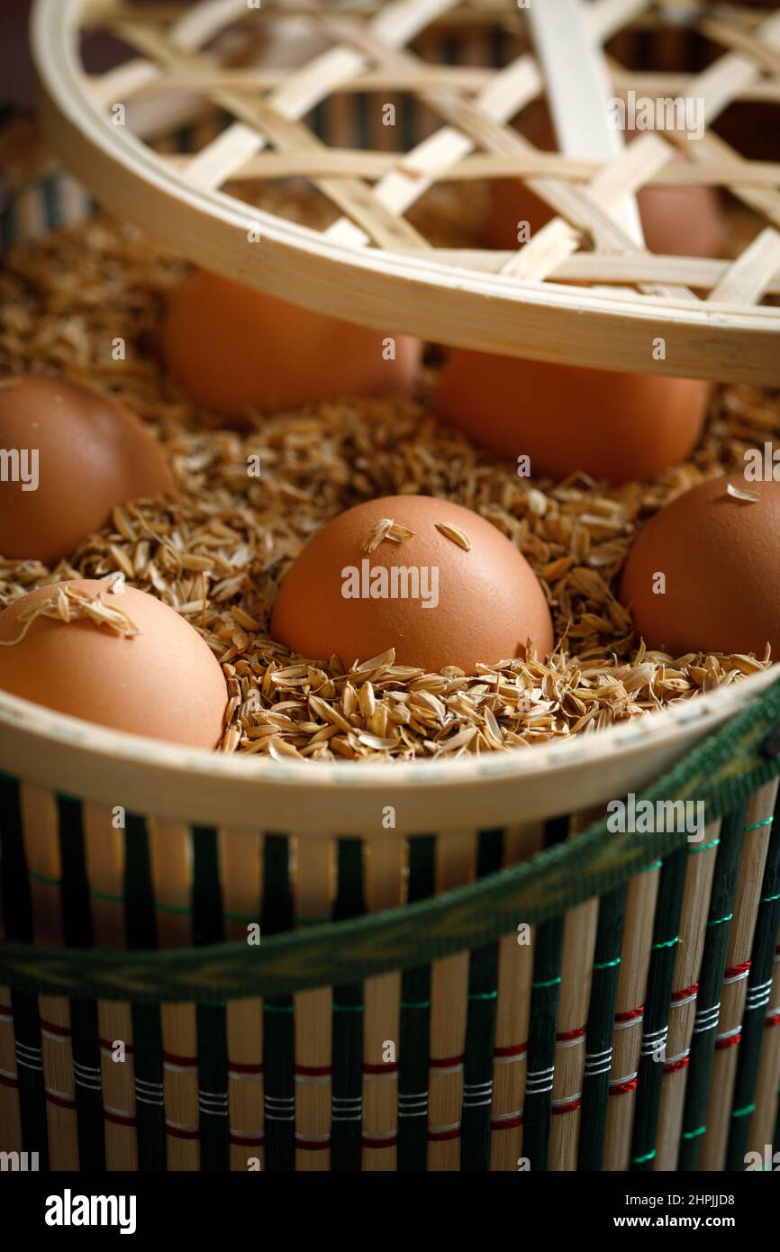 Native egg hi-res stock photography and images - Alamy