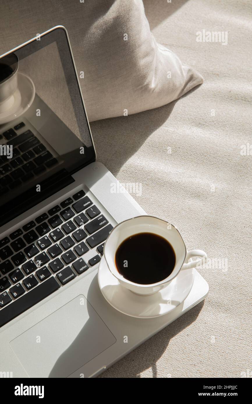 relax cozy objects and background with sofa and cushion, laptop and ...