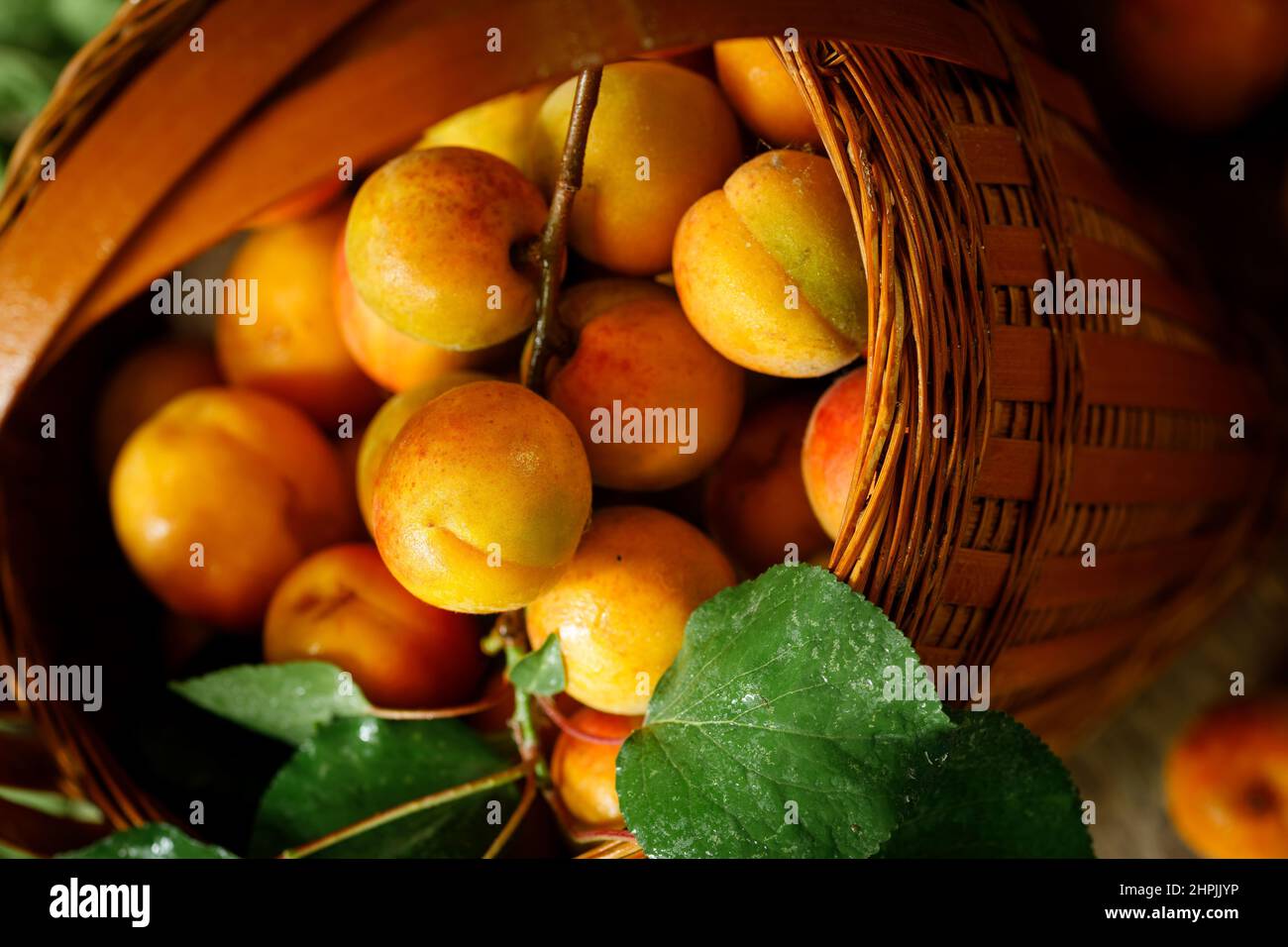 Flesh of apricot hi-res stock photography and images - Alamy