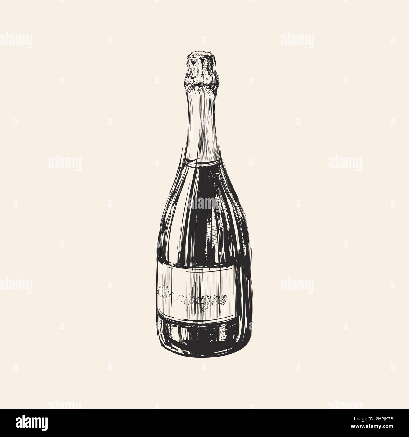 Champagne Bottle Hand drawn Illustration Sketch Vector Stock Vector ...