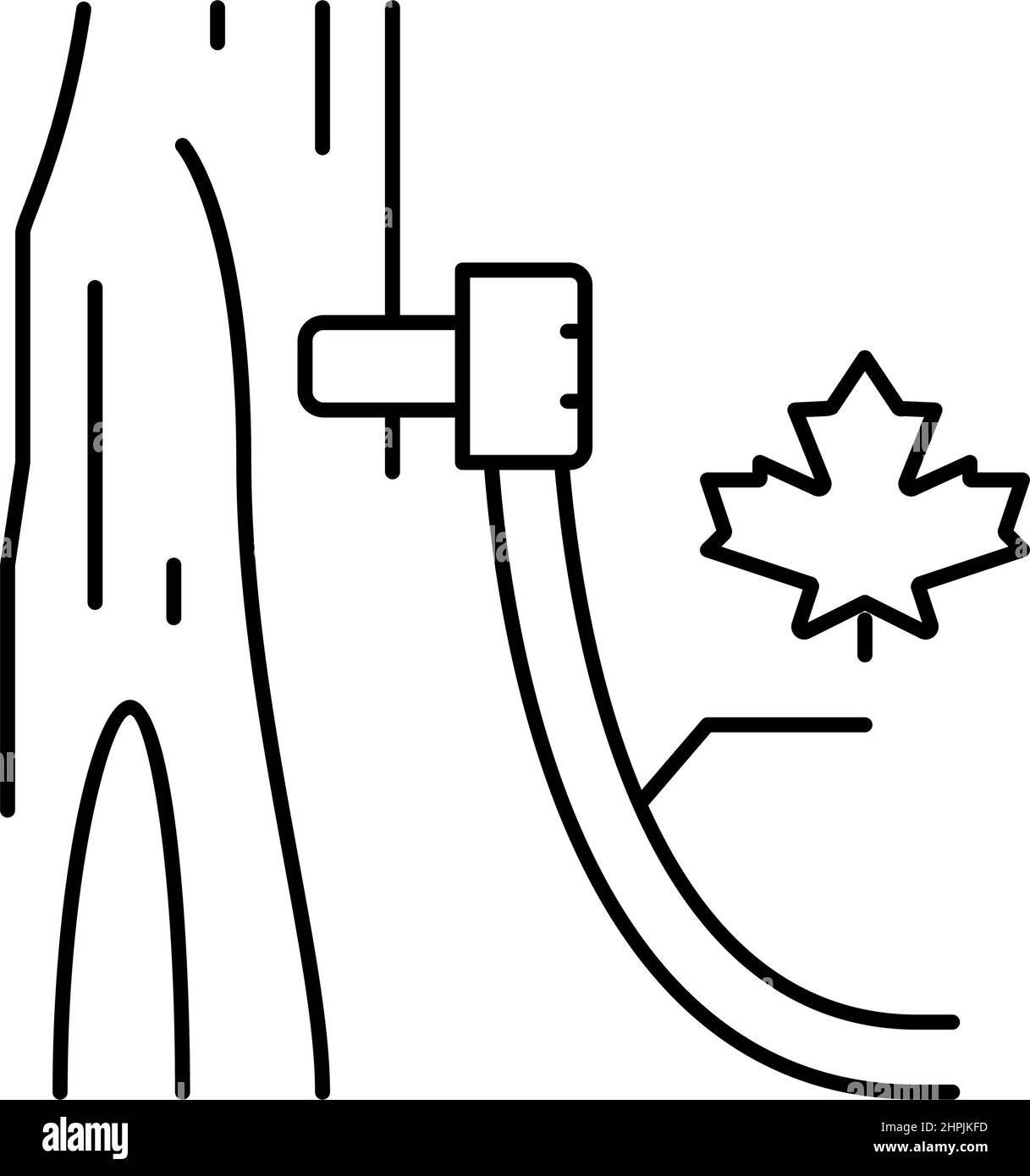 maple sap collection, using tubing method line icon vector illustration ...