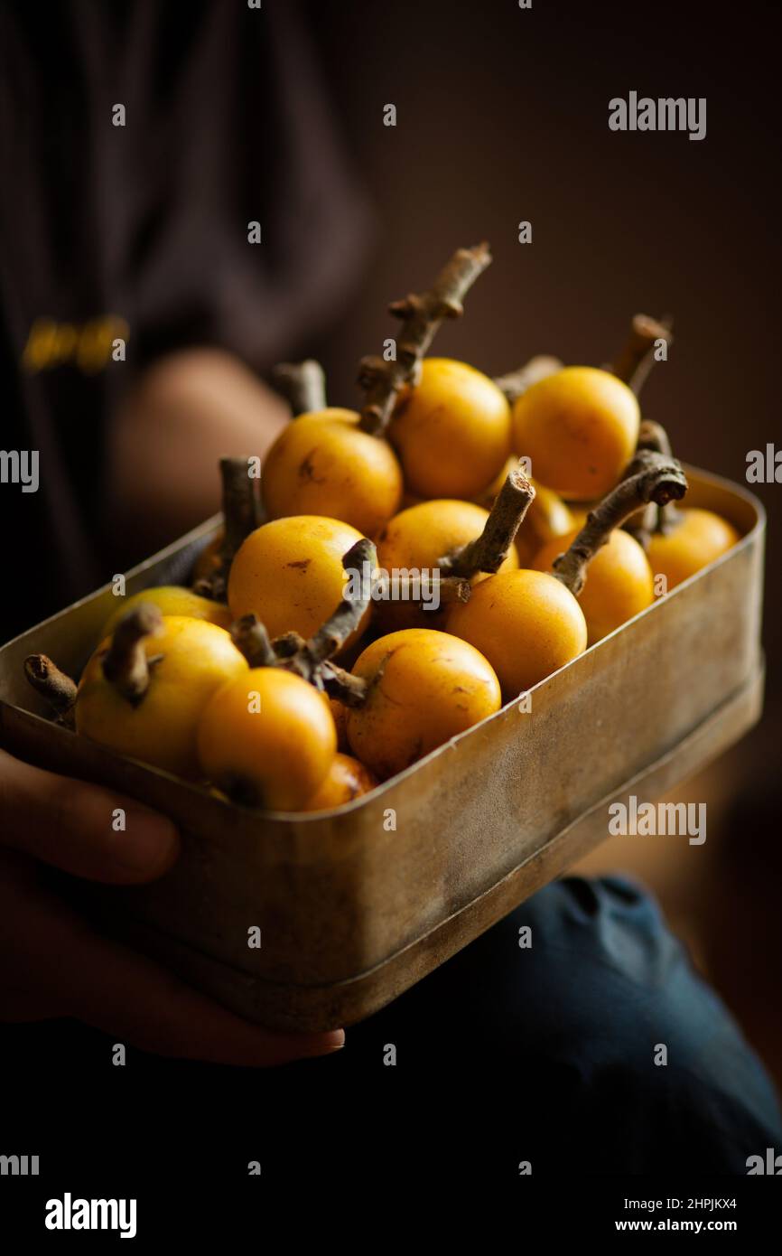 Eating loquat fruit hi-res stock photography and images - Alamy