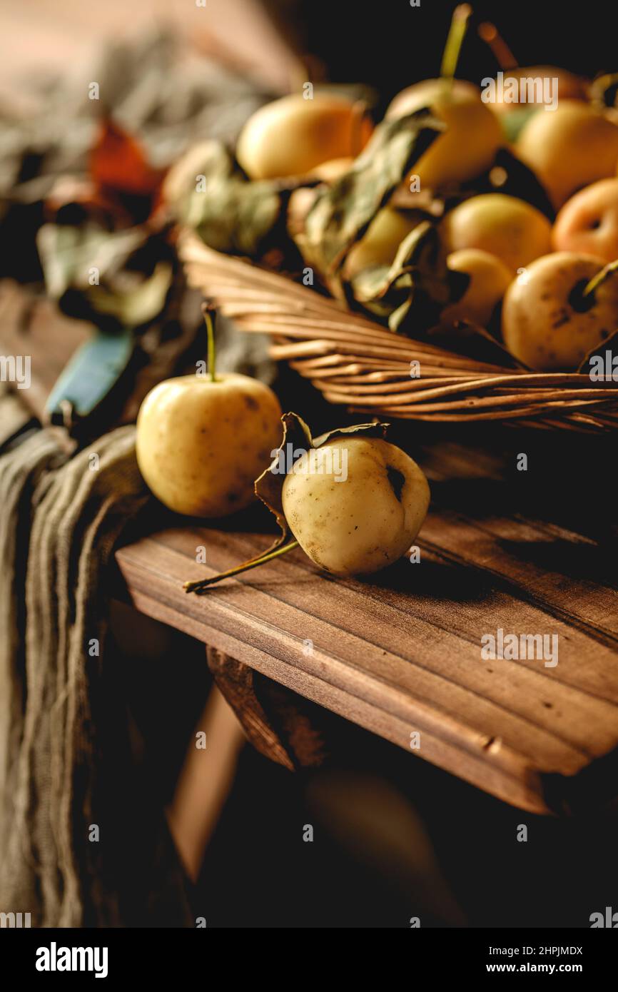 Chinese flowering crabapple Stock Photo - Alamy