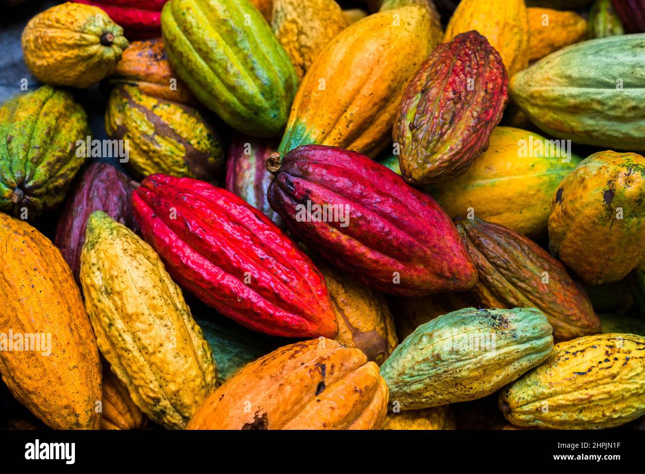Traditional farming crop production hi-res stock photography and images ...