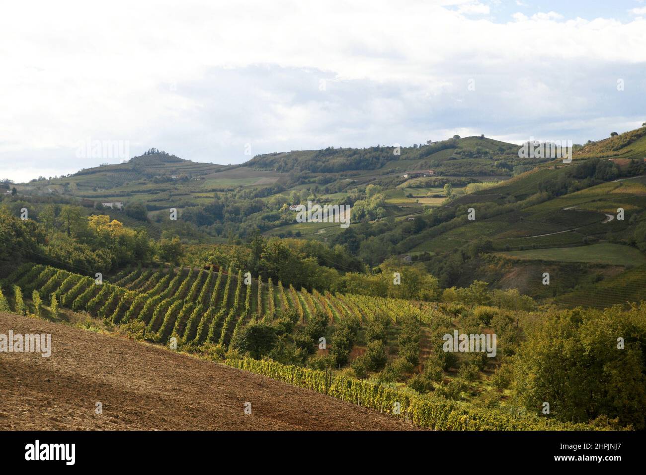 Landscape, Mango, Langhe, Piedmont, Italy Stock Photo - Alamy
