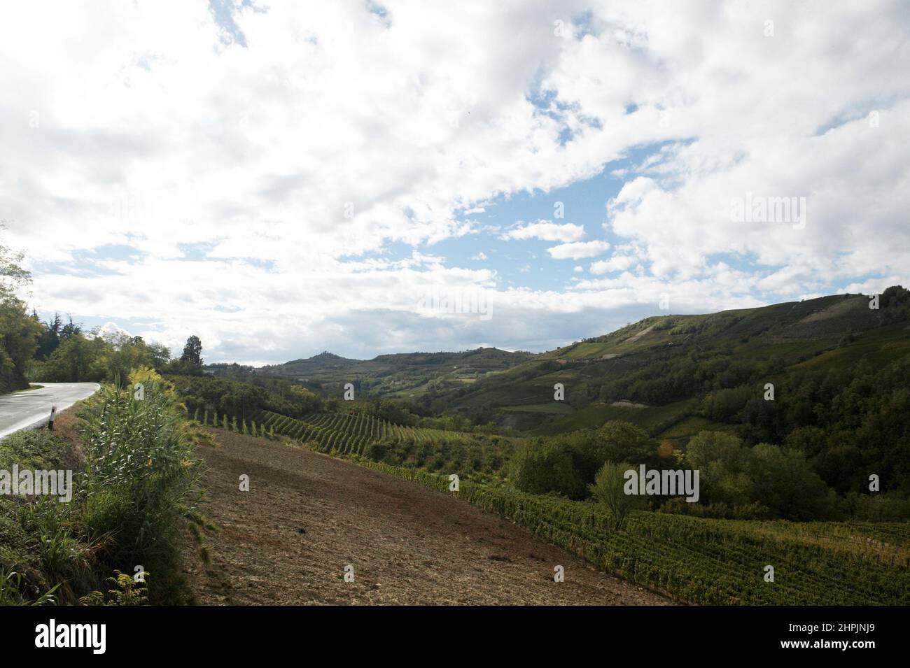 Mango road hi-res stock photography and images - Alamy