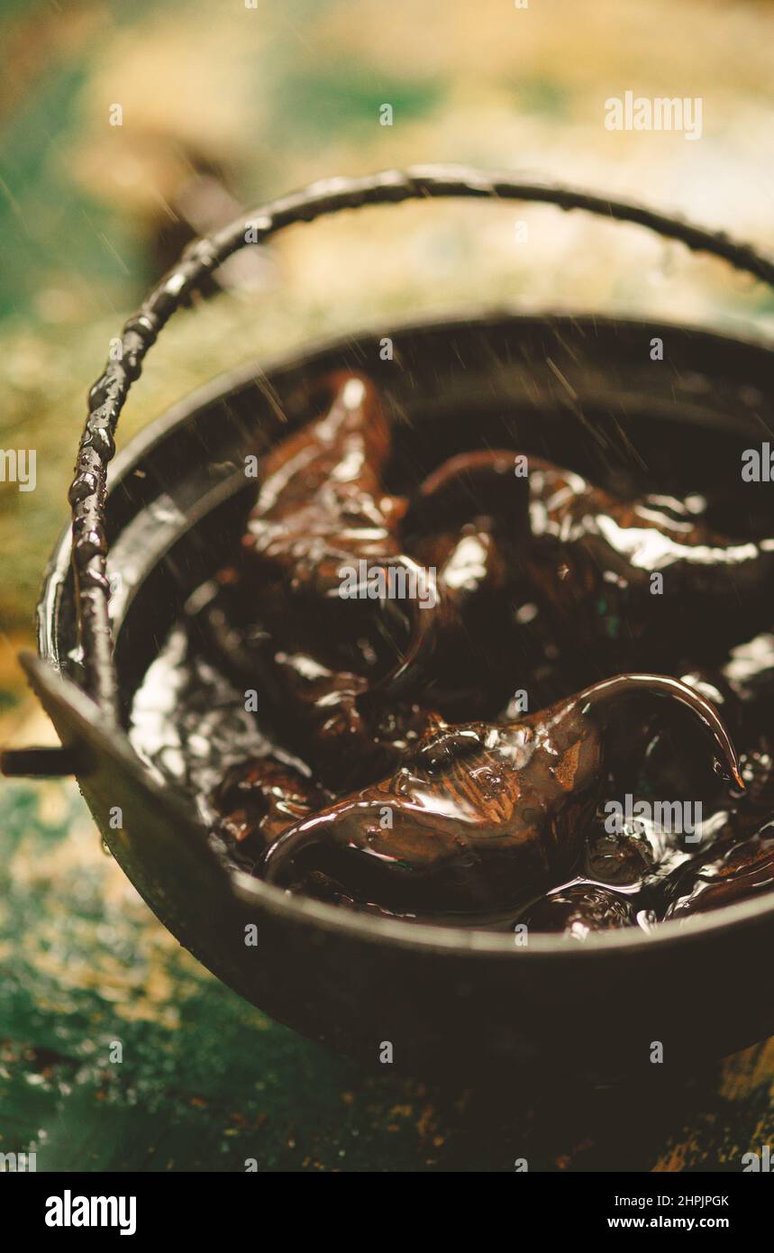 Water chestnut hi-res stock photography and images - Alamy