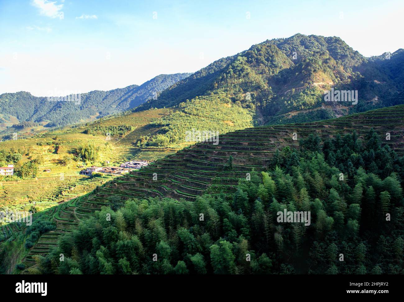 Tea garden fujian hi-res stock photography and images - Alamy