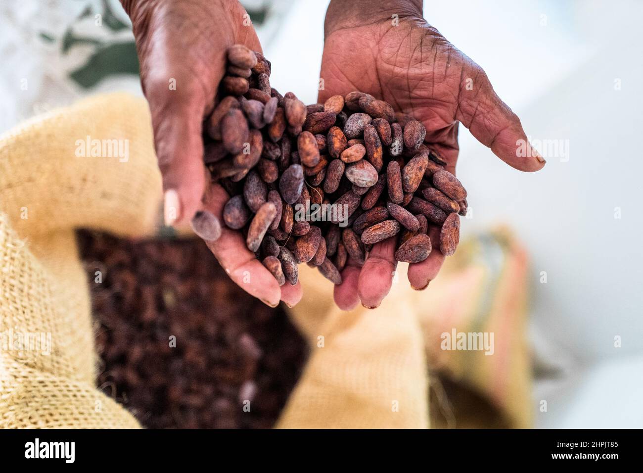 Small bag cacao hi-res stock photography and images - Alamy
