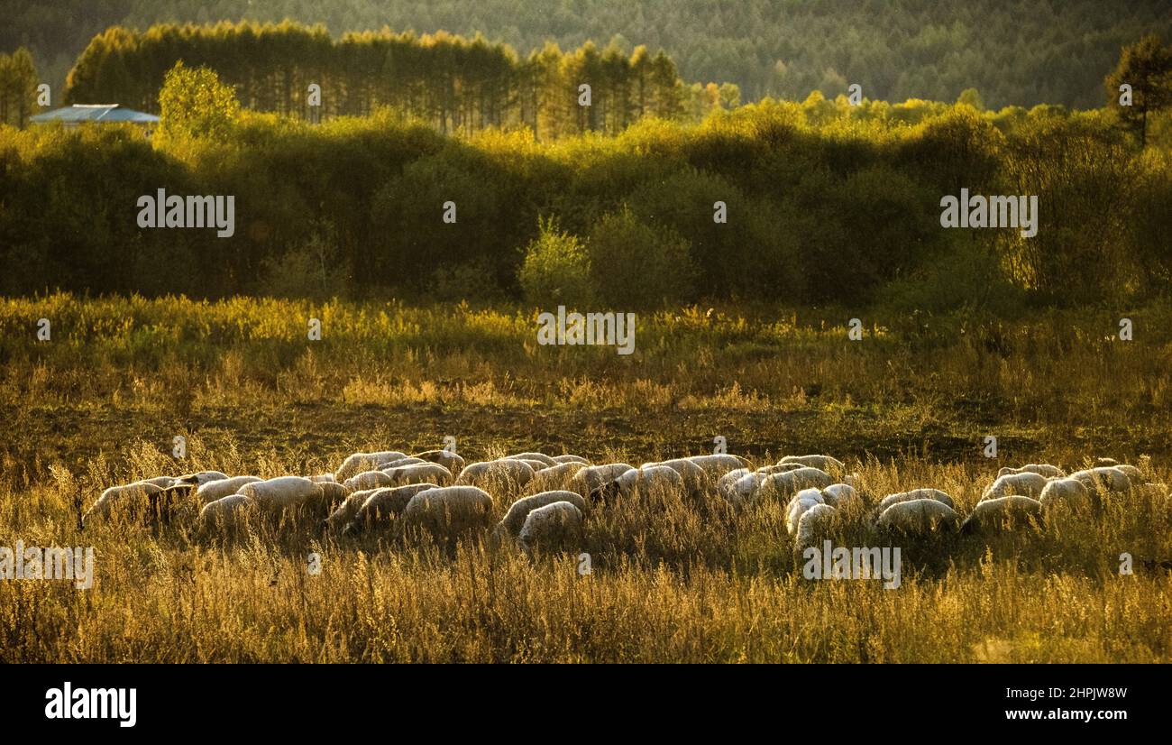 Root river autumn (1 Stock Photo - Alamy