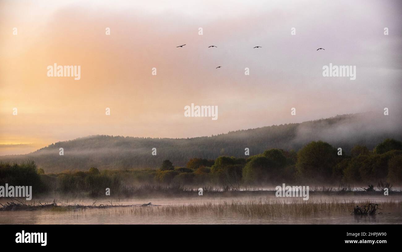 Root river autumn (4 Stock Photo - Alamy