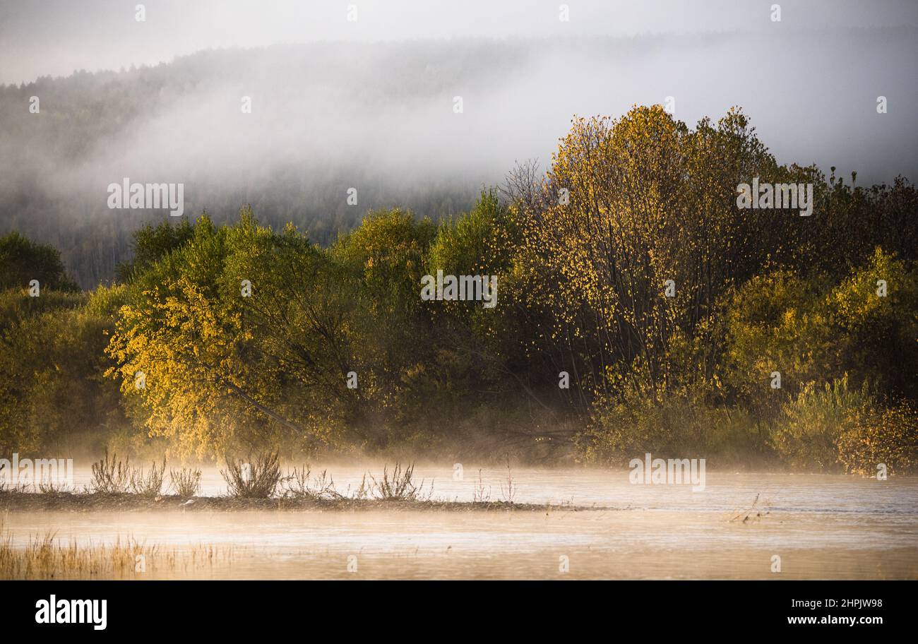 Root river autumn (5 Stock Photo - Alamy