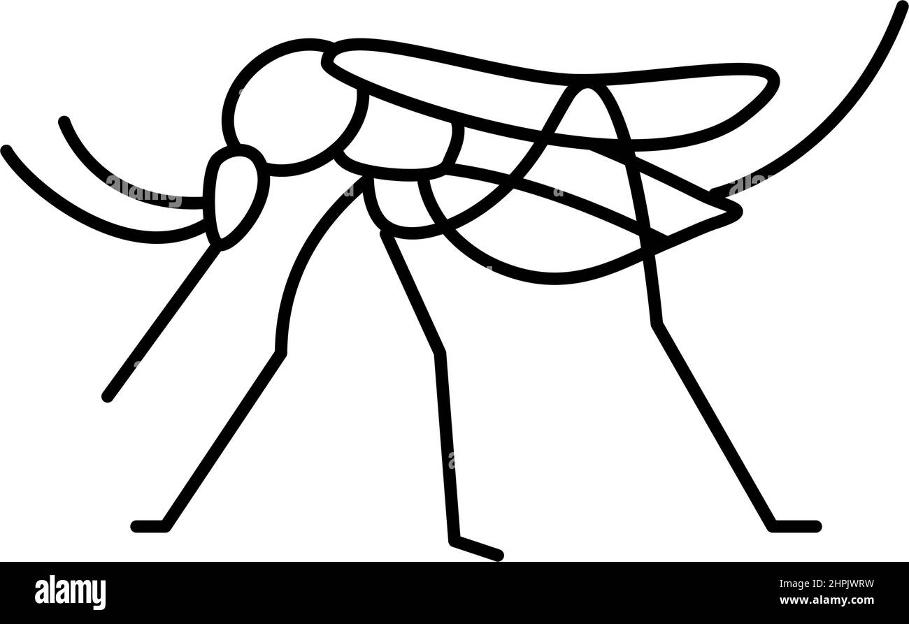 mosquito insect line icon vector illustration Stock Vector Image & Art ...