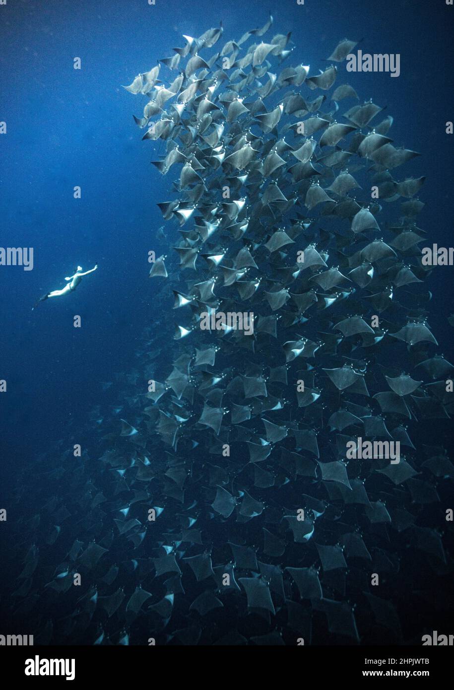 Interac hi-res stock photography and images - Alamy